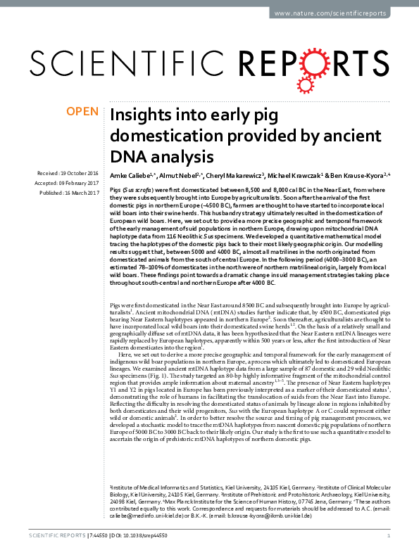 (PDF) Insights into early pig domestication provided by ancient DNA ...