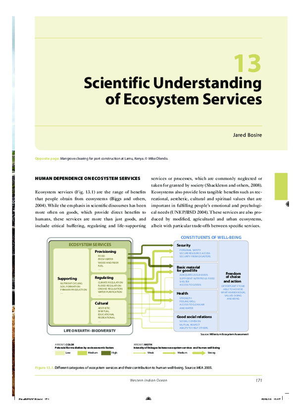 (PDF) Scientific understanding of ecosystem services