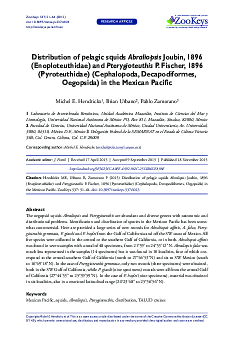 (PDF) Distribution of pelagic squids Abraliopsis Joubin, 1896 ...