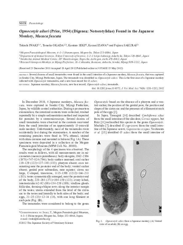 (PDF) Ogmocotyle ailuri (Price, 1954) (Digenea: Notocotylidae) Found in ...