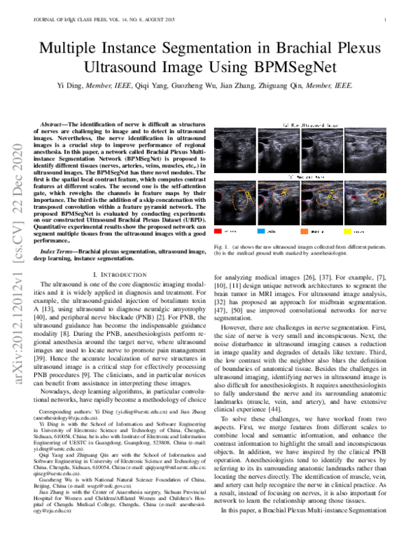 (PDF) Multiple Instance Segmentation in Brachial Plexus Ultrasound Image Using BPMSegNet