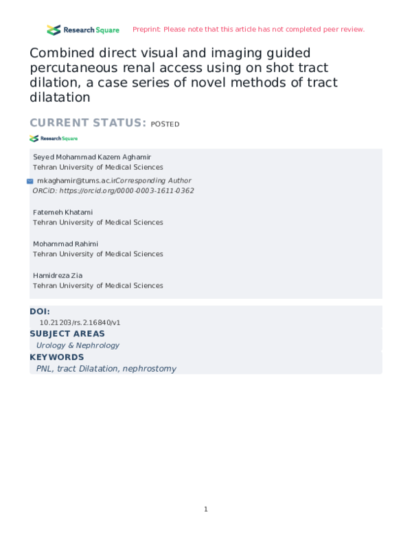 (PDF) Combined direct visual and imaging guided percutaneous renal ...