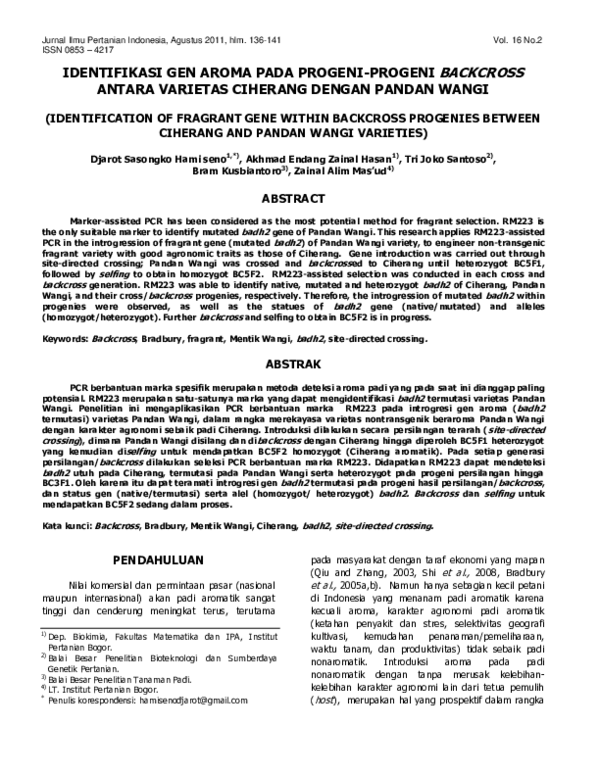 (PDF) Identifikasi gen aroma pada progeni-progeni backcross antara ...
