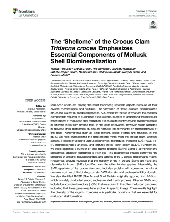 (PDF) The ‘Shellome’ of the Crocus Clam Tridacna crocea Emphasizes ...