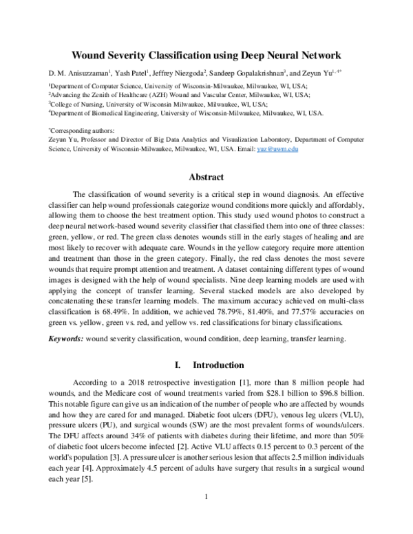 (PDF) Wound Severity Classification using Deep Neural Network