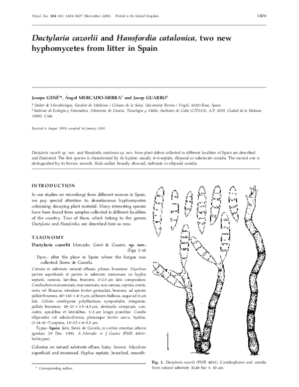 (PDF) Dactylaria cazorlii and Hansfordia catalonica, two new ...
