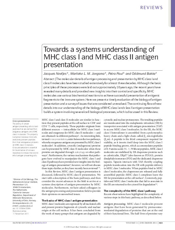 (PDF) Towards a systems understanding of MHC class I and MHC class II ...