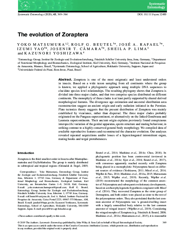 (PDF) The evolution of Zoraptera