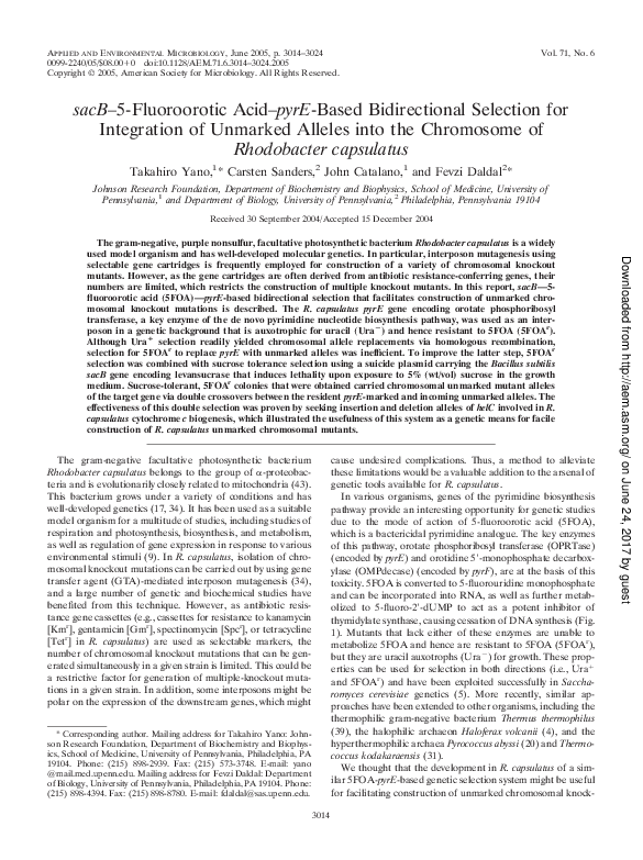 (PDF) sacB-5-Fluoroorotic Acid-pyrE-Based Bidirectional Selection for ...