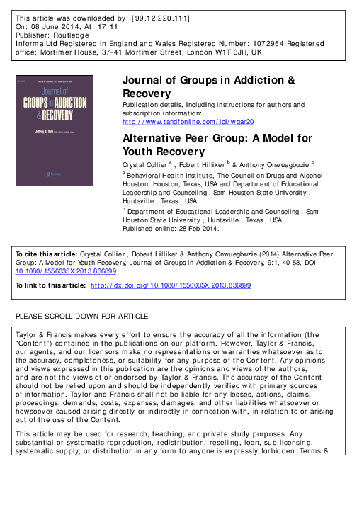(PDF) Alternative Peer Group: A Model for Youth Recovery
