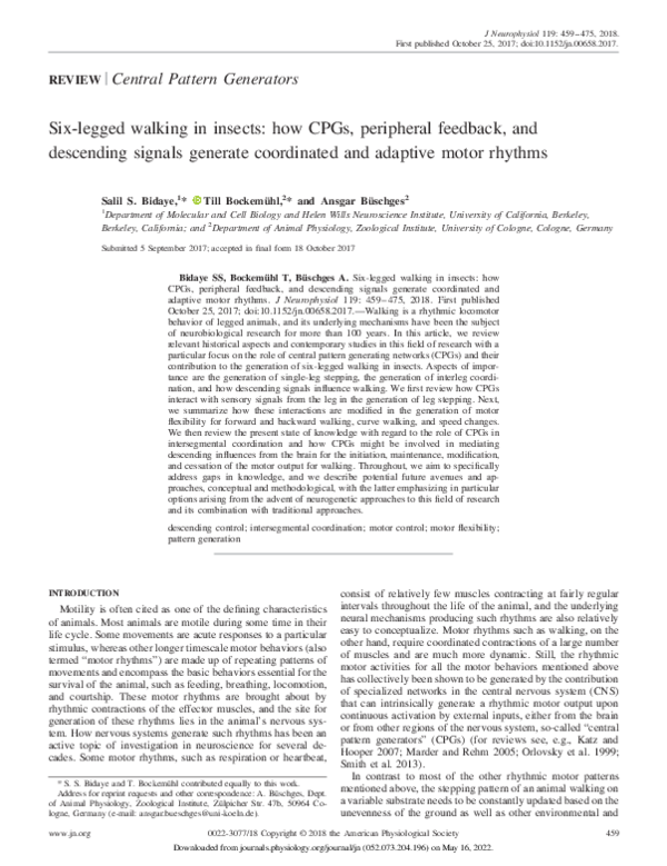 (PDF) Six-legged walking in insects: how CPGs, peripheral feedback, and ...