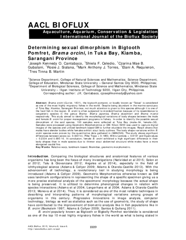 (PDF) Determining sexual dimorphism in Bigtooth Pomfret, Brama orcini ...