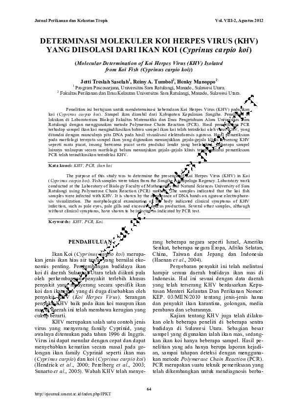 (PDF) (Molecular Determination of Koi Herpes Virus (KHV) Isolated from ...