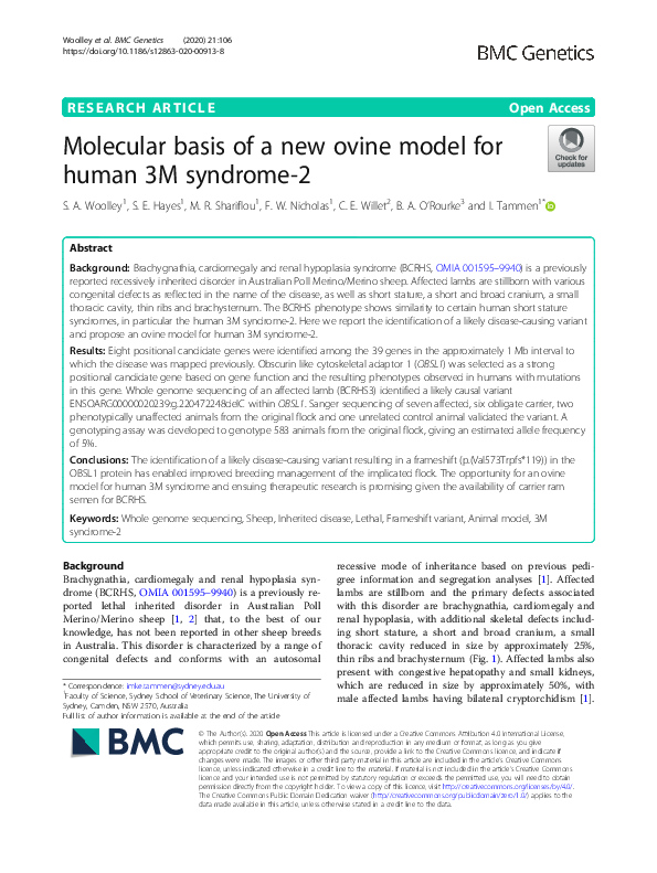 (PDF) Molecular basis of a new ovine model for human 3M syndrome-2