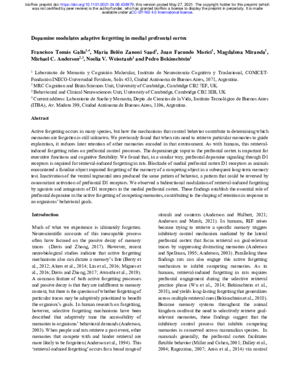 (PDF) Dopamine modulates adaptive forgetting in medial prefrontal cortex