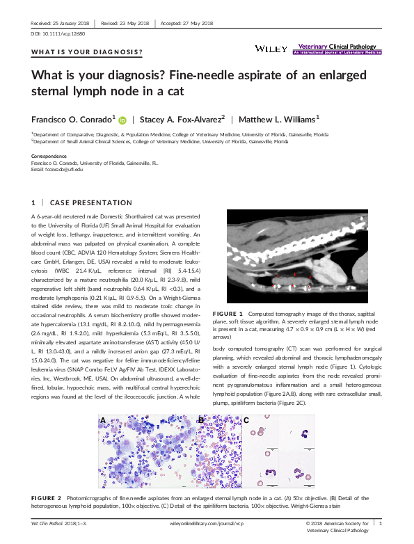 (PDF) What is your diagnosis? Fine‐needle aspirate of an enlarged ...