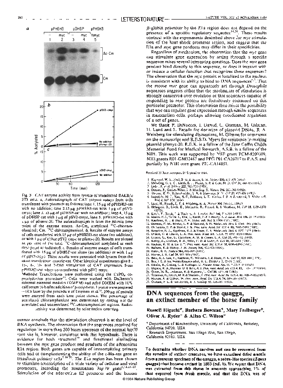 (PDF) DNA sequences from the quagga, an extinct member of the horse family