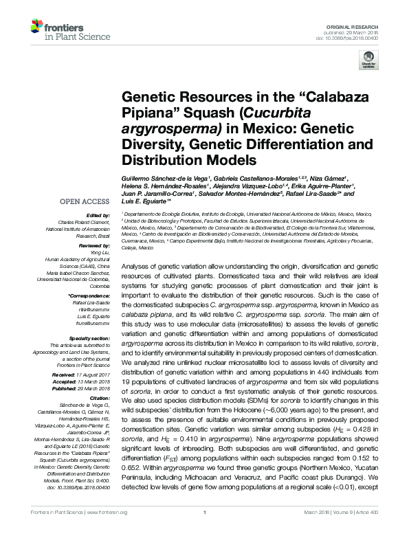 (PDF) Genetic Resources in the “Calabaza Pipiana” Squash (Cucurbita ...