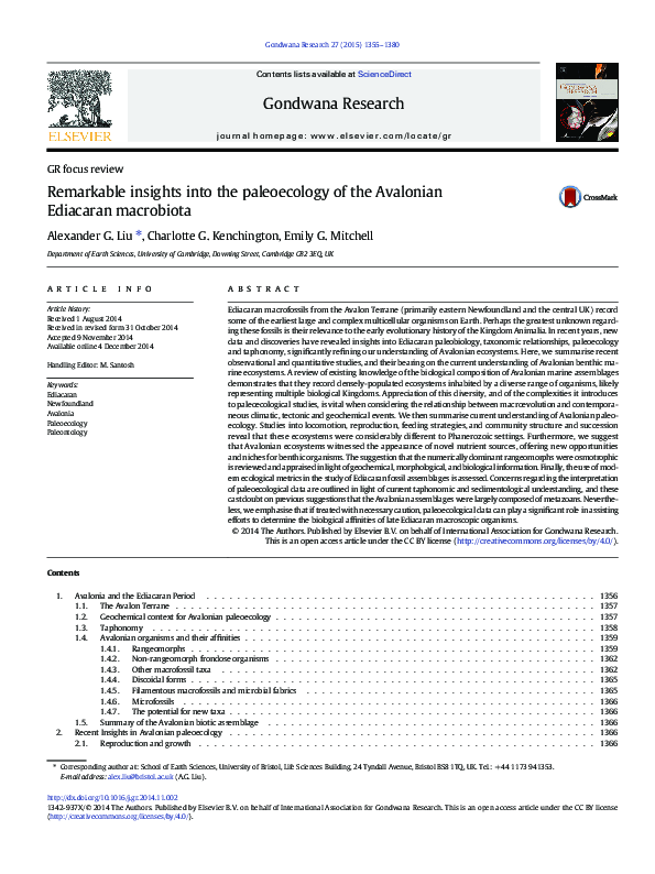 (PDF) Insights on Avalonian Ediacaran Paleoecology