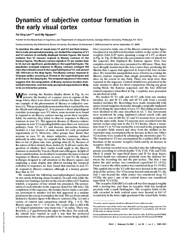 (PDF) Dynamics of subjective contour formation in the early visual cortex | My Nguyen - Academia.edu