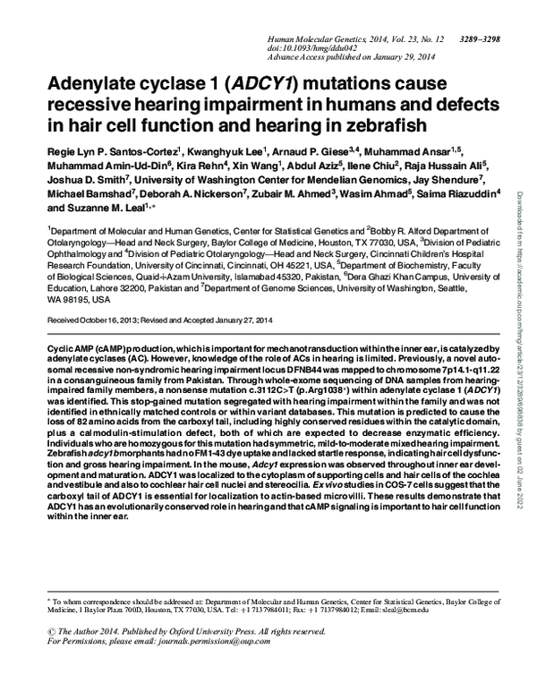 (PDF) Adenylate cyclase 1 (ADCY1) mutations cause recessive hearing ...