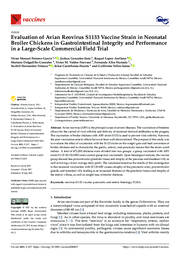 (PDF) Evaluation of Avian Reovirus S1133 Vaccine Strain in Neonatal ...