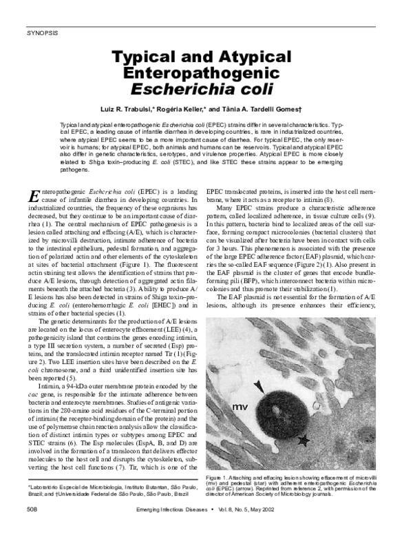 (PDF) Typical and Atypical Enteropathogenic Escherichia coli