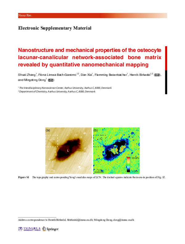(PDF) Nanostructure and mechanical properties of the osteocyte lacunar ...