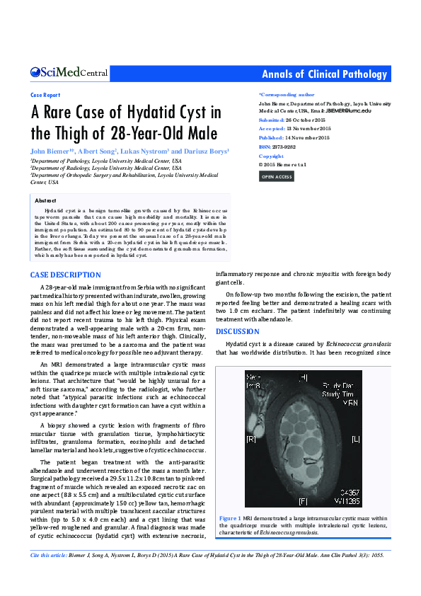 (PDF) Primary Intramuscular Hydatid Cyst of the Thigh Muscle in 20-Year ...