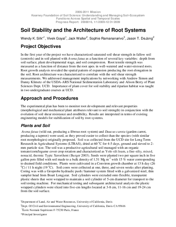 (PDF) Soil Stability and the Architecture of Root Systems