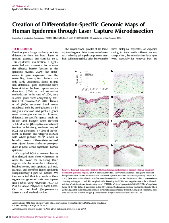 (PDF) Creation of Differentiation-Specific Genomic Maps of Human ...