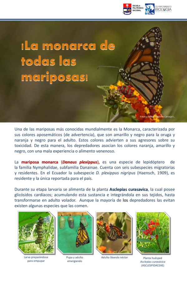 (PDF) La monarca de todas las mariposas