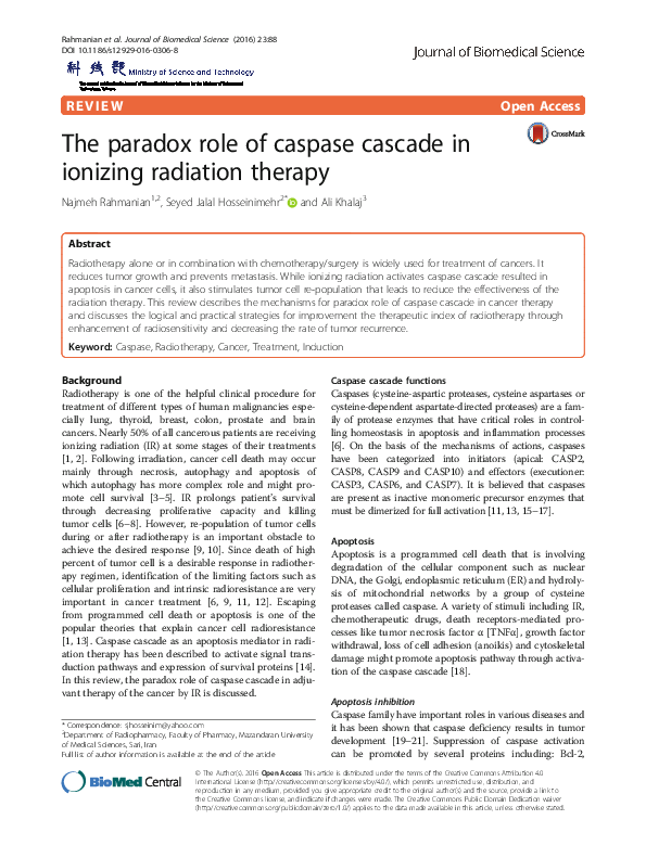 (PDF) The paradox role of caspase cascade in ionizing radiation therapy