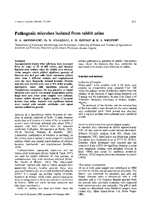 (PDF) Pathogenic microbes isolated from rabbit urine