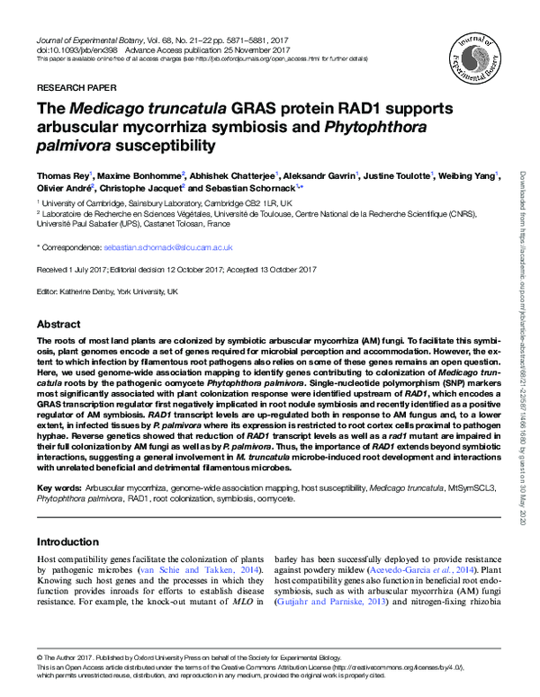 (PDF) The Medicago truncatula GRAS protein RAD1 supports arbuscular ...