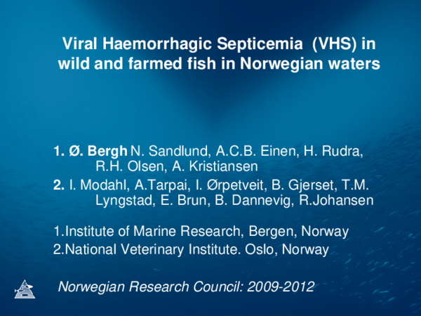(PDF) Viral Haemorrhagic Septicemia (VHS) in wild and farmed fish in ...