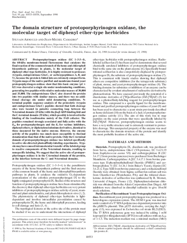 (PDF) The domain structure of protoporphyrinogen oxidase, the molecular ...