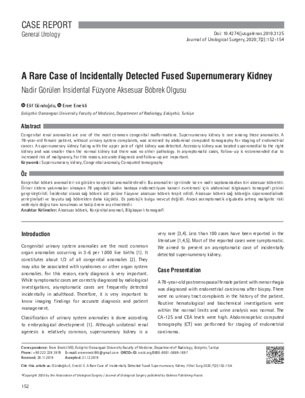 (PDF) A Rare Case of Incidentally Detected Fused Supernumerary Kidney