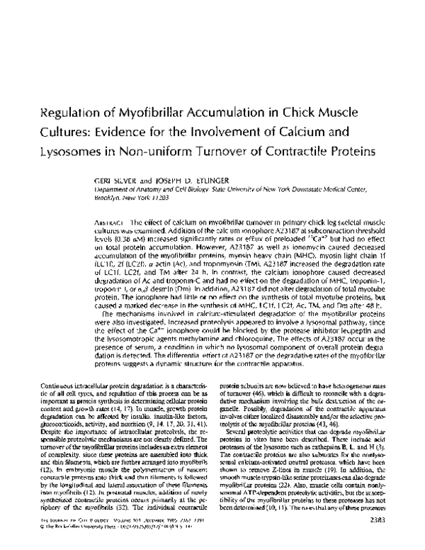 (PDF) Superconducting magnetic energy storage (SMES) for industrial ...
