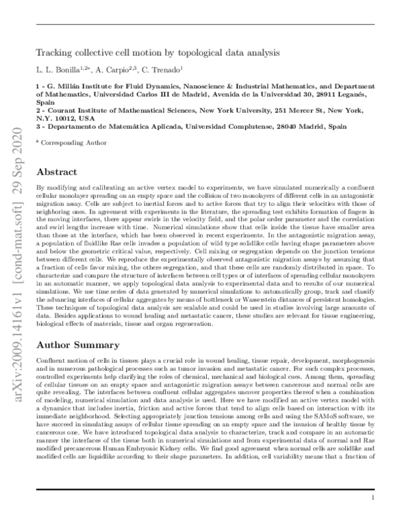 (PDF) Tracking collective cell motion by topological data analysis