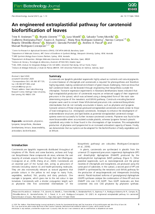 (PDF) An engineered extraplastidial pathway for carotenoid biofortification of leaves