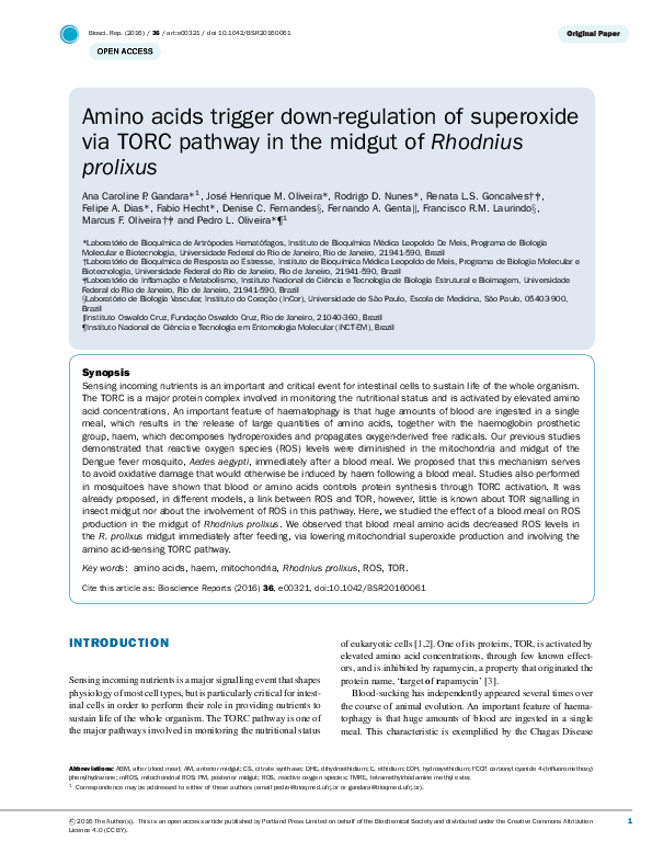(PDF) Amino Acids and TORC in Rhodnius prolixus Midgut