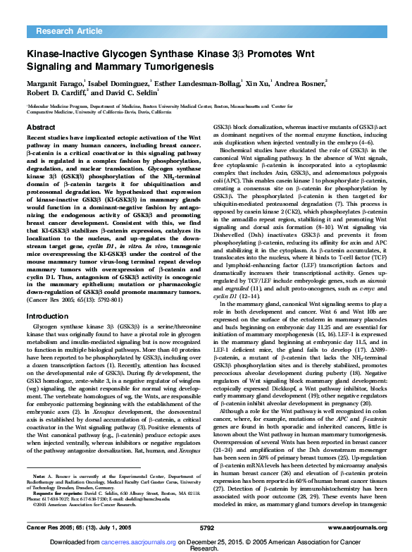 (PDF) Kinase-Inactive Glycogen Synthase Kinase 3B Promotes Wnt ...