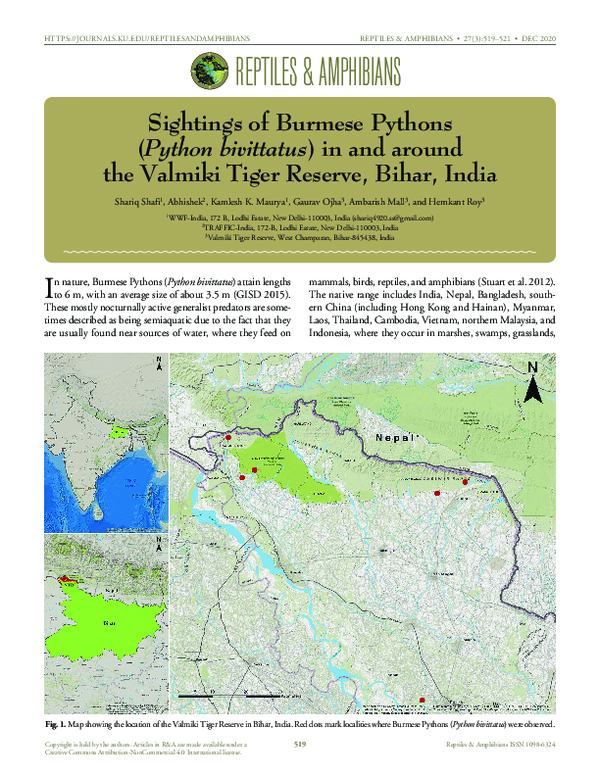 (PDF) Sightings of Burmese Pythons (Python bivittatus) in and around ...