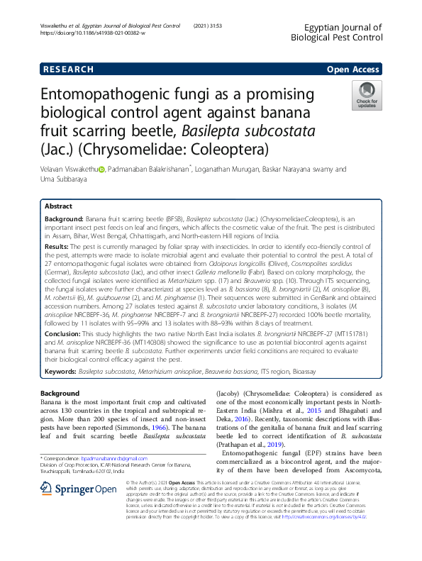 (PDF) Entomopathogenic fungi as a promising biological control agent against banana fruit ...
