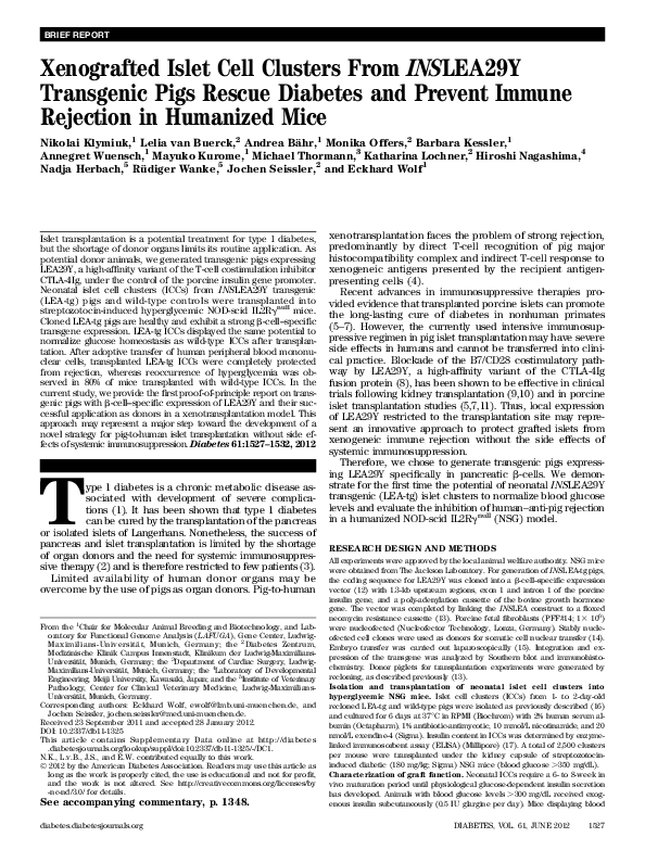 (PDF) Xenografted Islet Cell Clusters From INSLEA29Y Transgenic Pigs ...