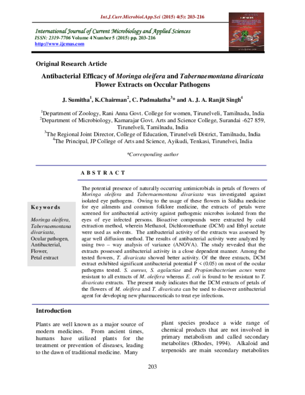 (PDF) Morphology and leaf anatomy of Setaria s.l. (Poaceae: Panicoideae ...