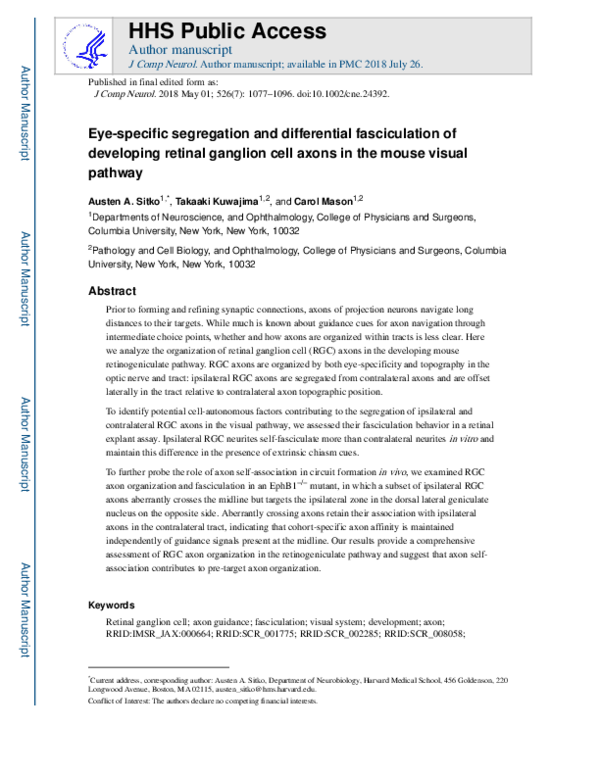 (PDF) Eye-specific segregation and differential fasciculation of ...
