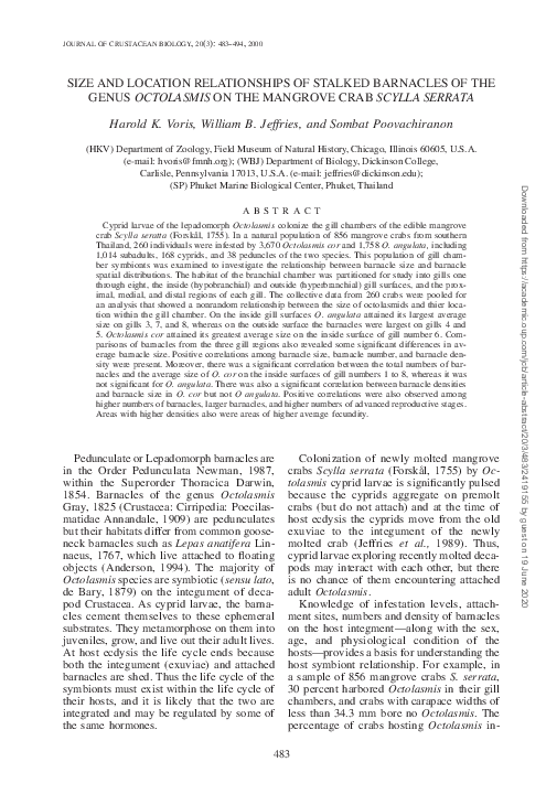 (PDF) Size and Location Relationships of Stalked Barnacles of the Genus ...
