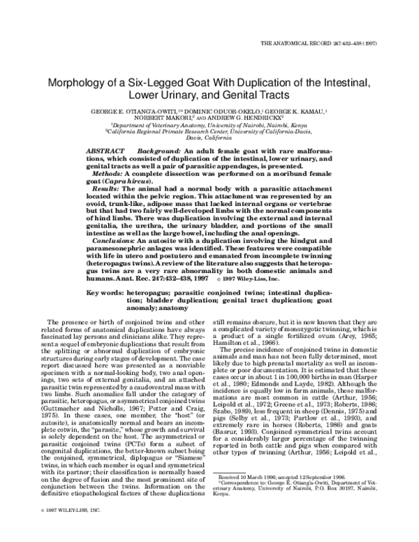 (PDF) Morphology of a six‐legged goat with duplication of the ...